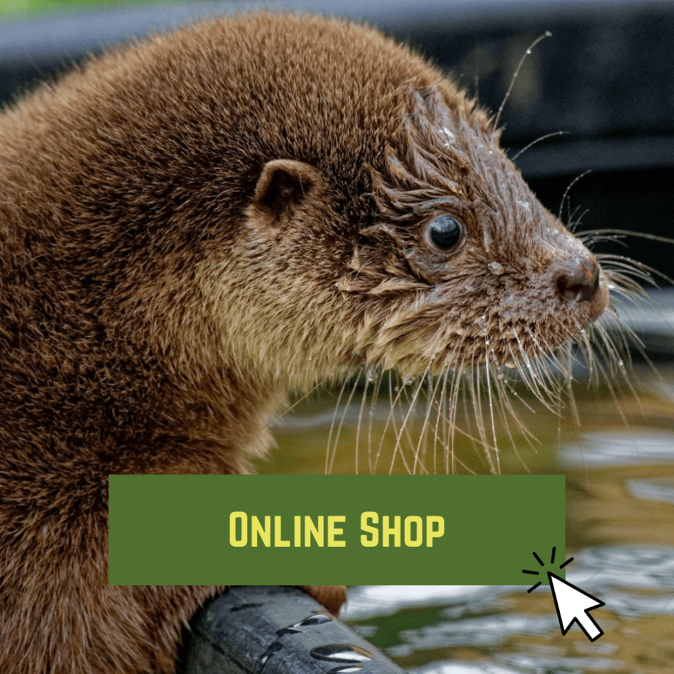 Home - UK Wild Otter Trust