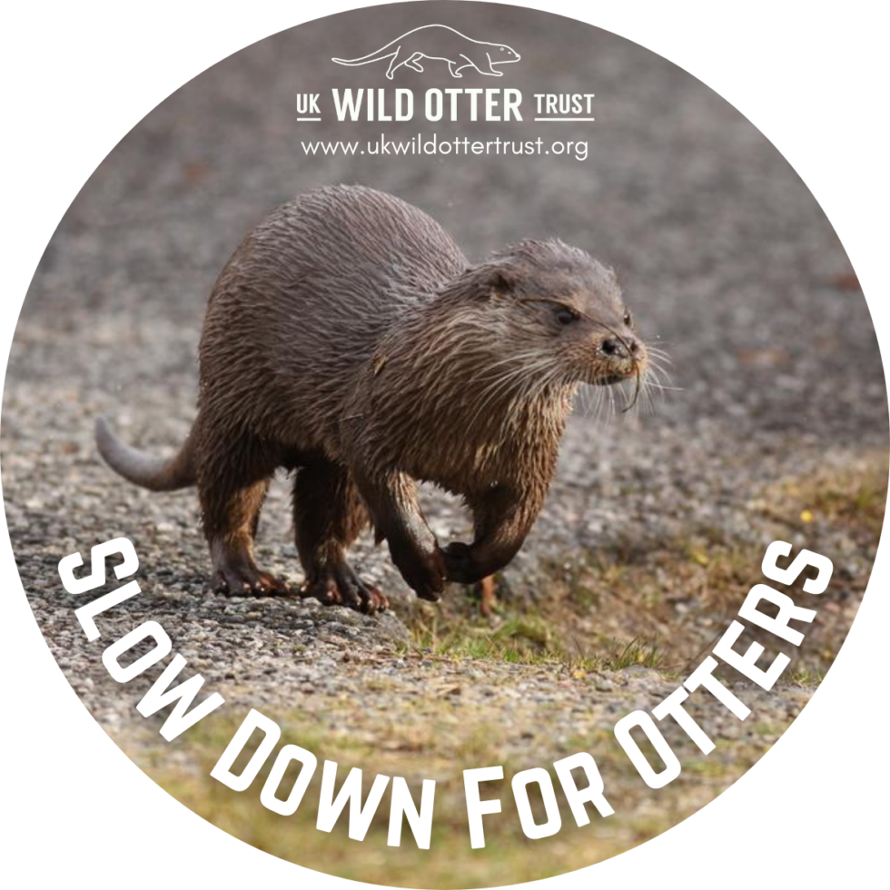 Slow Down For Otters - UK Wild Otter Trust