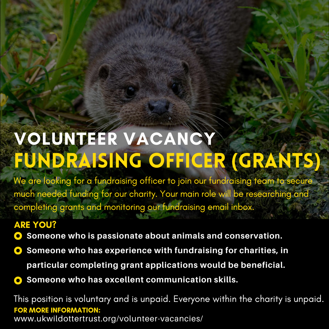 Join our Fundraising Team! 🤝 - UK Wild Otter Trust
