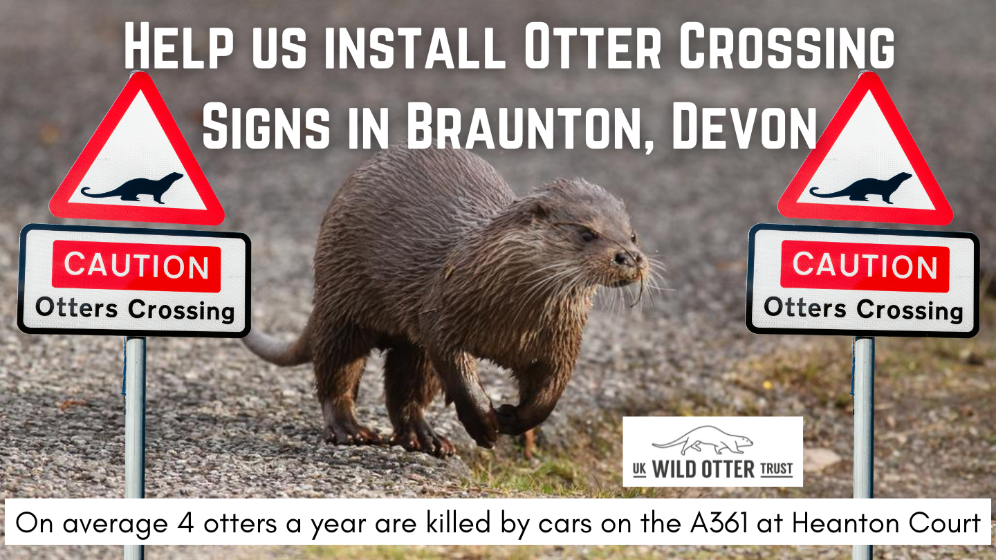 Home - UK Wild Otter Trust
