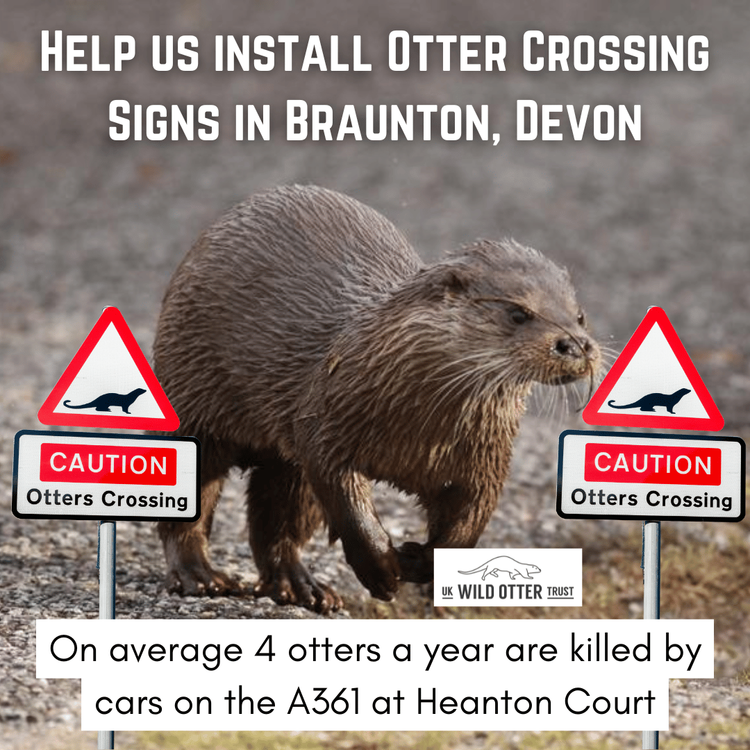 Home - UK Wild Otter Trust