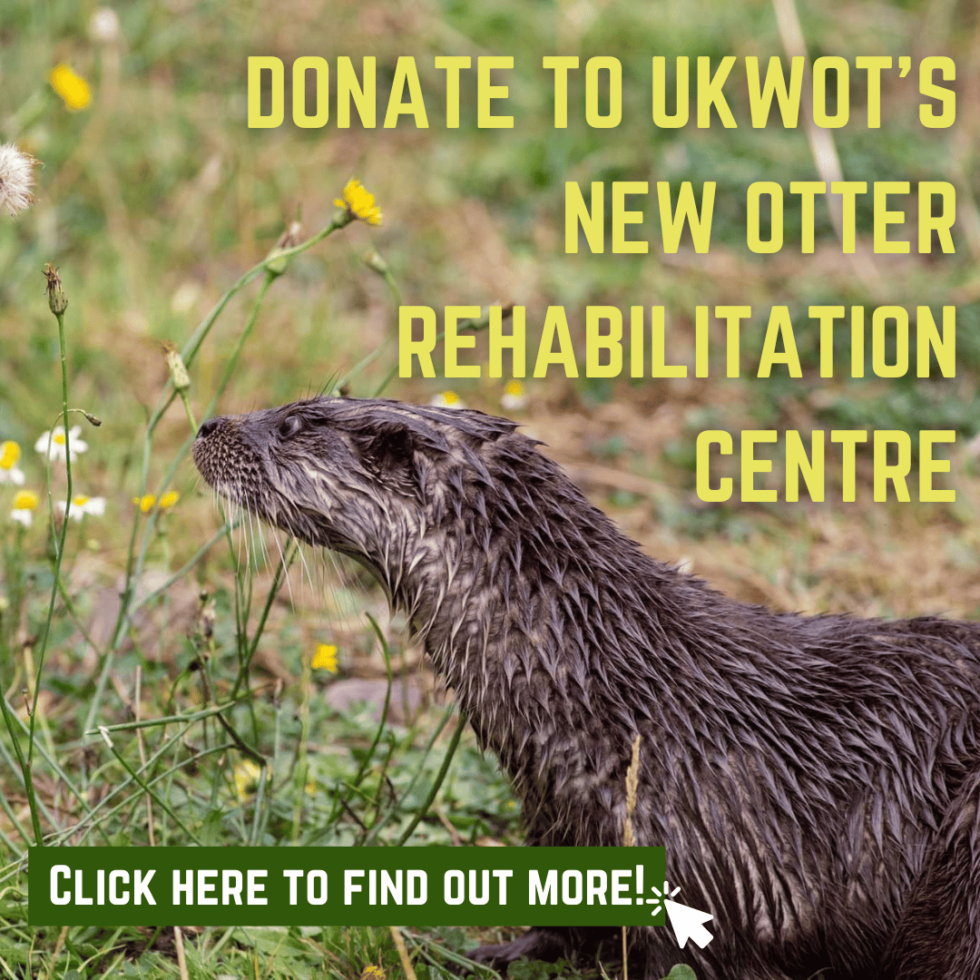 Home - UK Wild Otter Trust