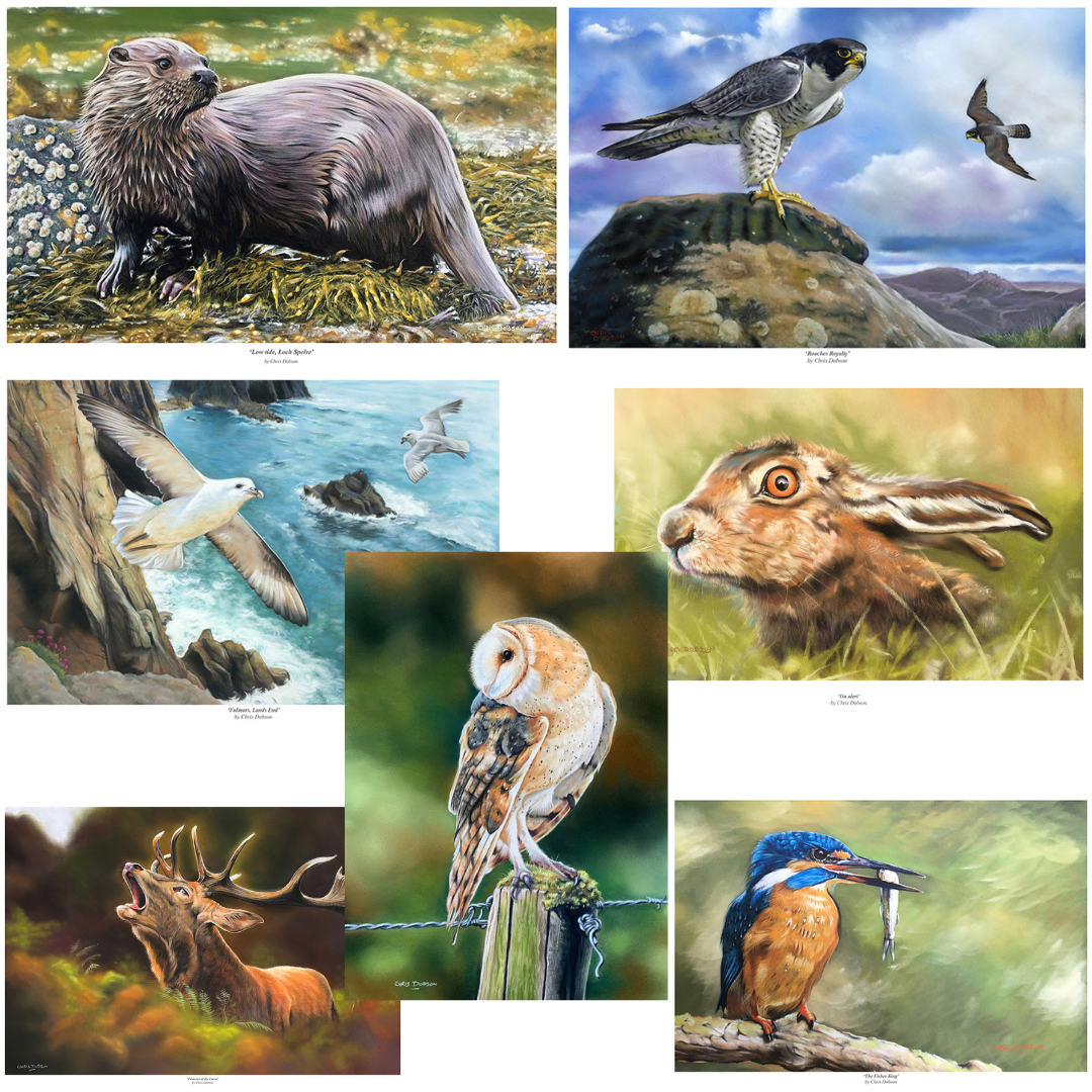 Chris Dobson A3 Signed Print - Various - UK Wild Otter Trust