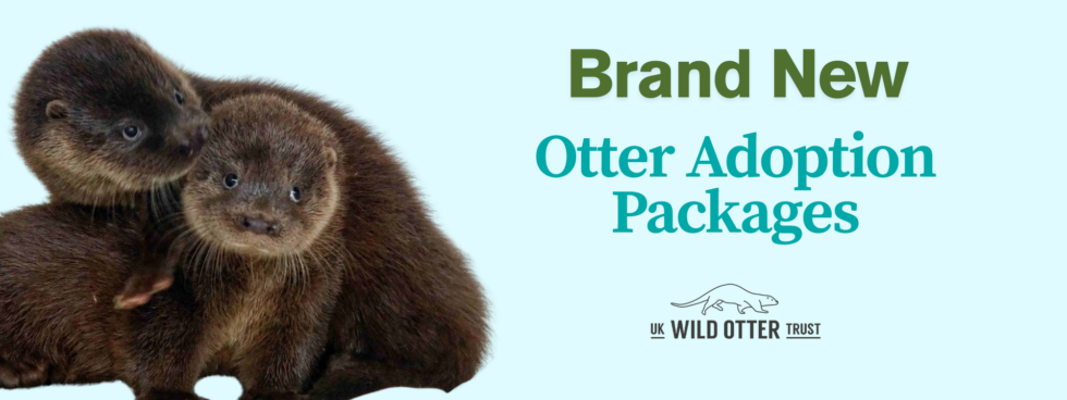 Home - UK Wild Otter Trust